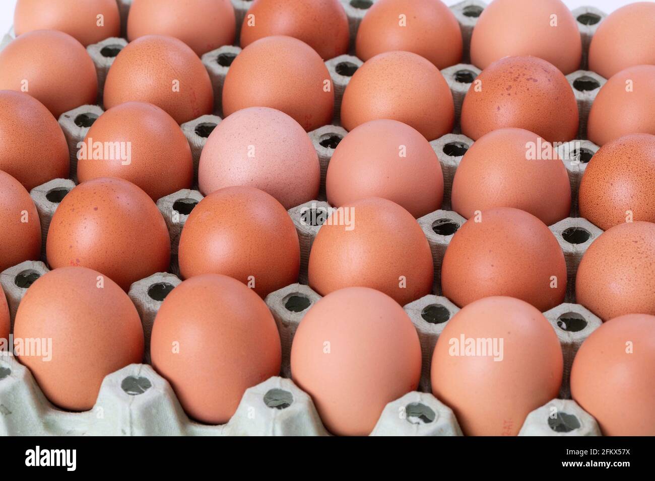 Eierpappen hi-res stock photography and images - Alamy