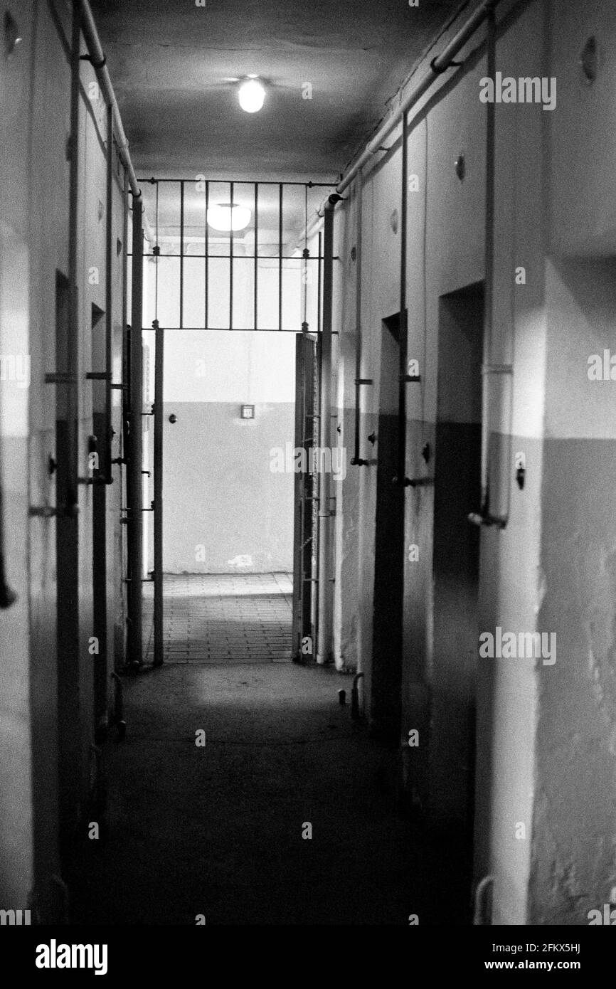 1995 archivfoto hi-res stock photography and images - Alamy