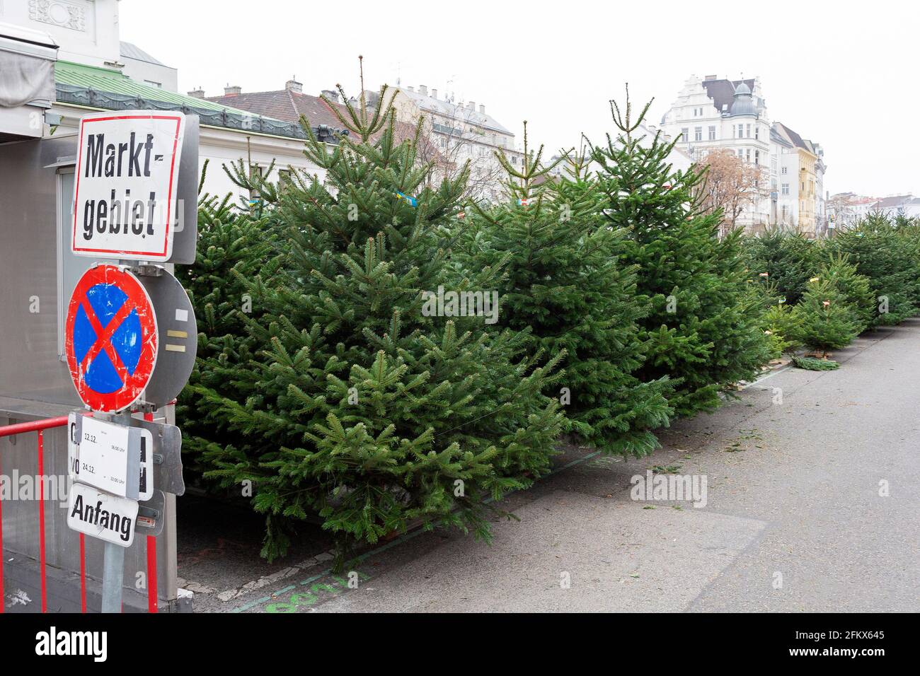 Market Area, Christmas Tree Market Stock Photo - Alamy