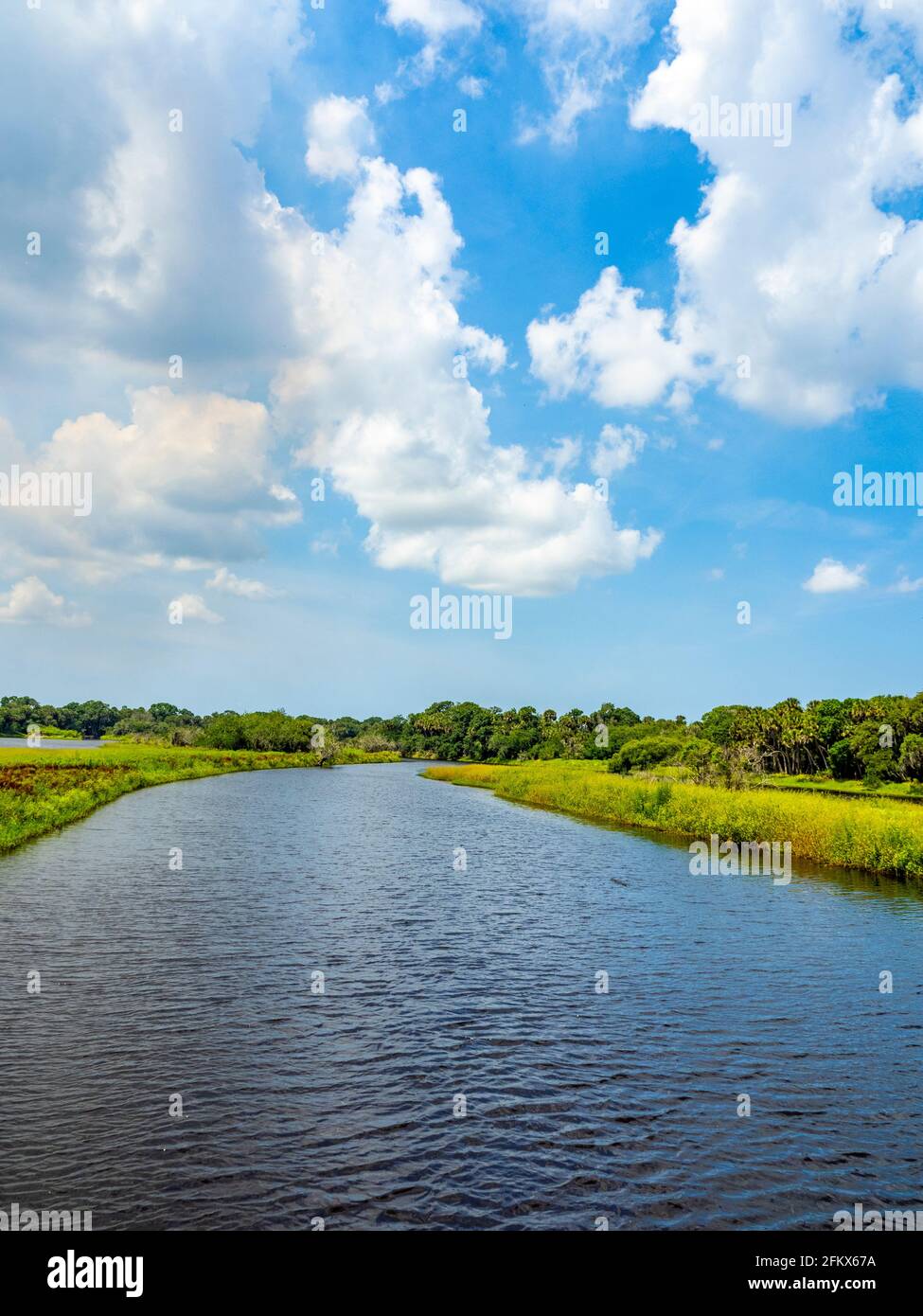 Myakka River in Myakka River State Park in Sarasota Florida USA Stock ...