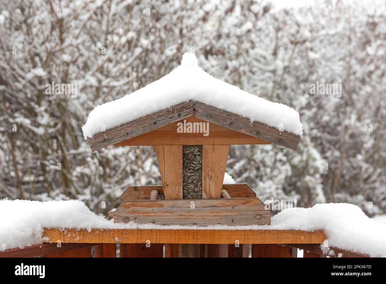 Bird House Without Birds Stock Photo - Alamy