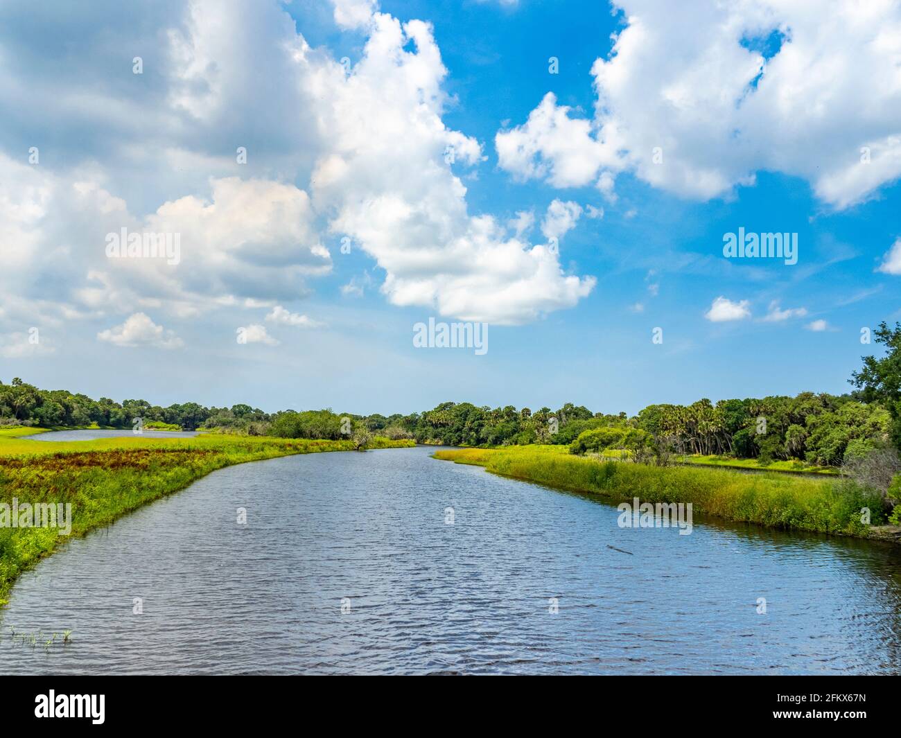 Myakka River in Myakka River State Park in Sarasota Florida USA Stock ...