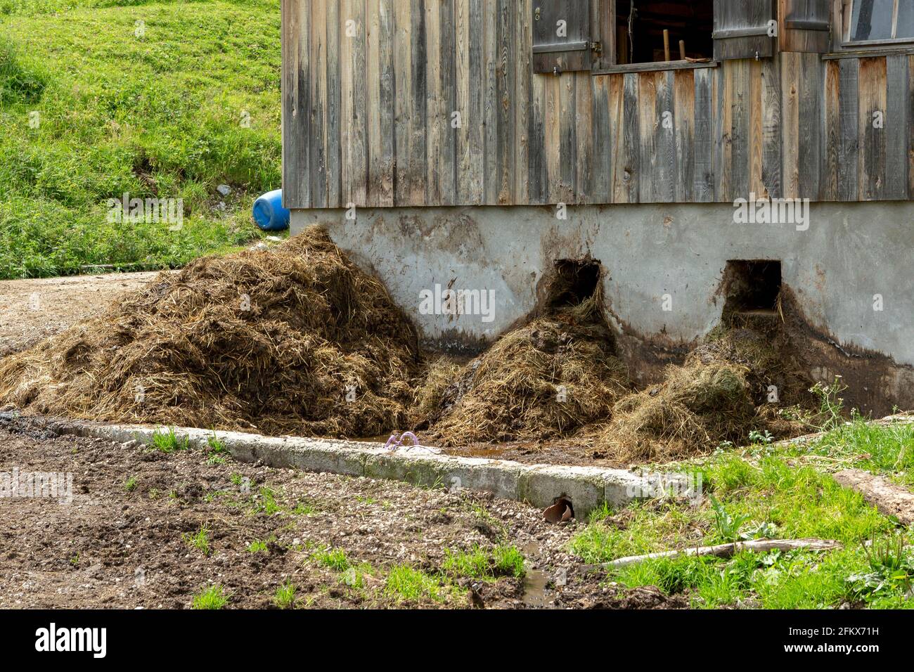 Stall manure hi-res stock photography and images - Alamy