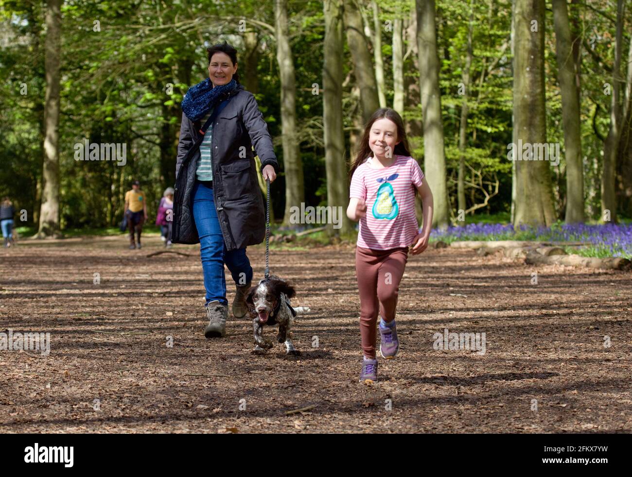 Child and cocker spaniel hi-res stock photography and images - Alamy