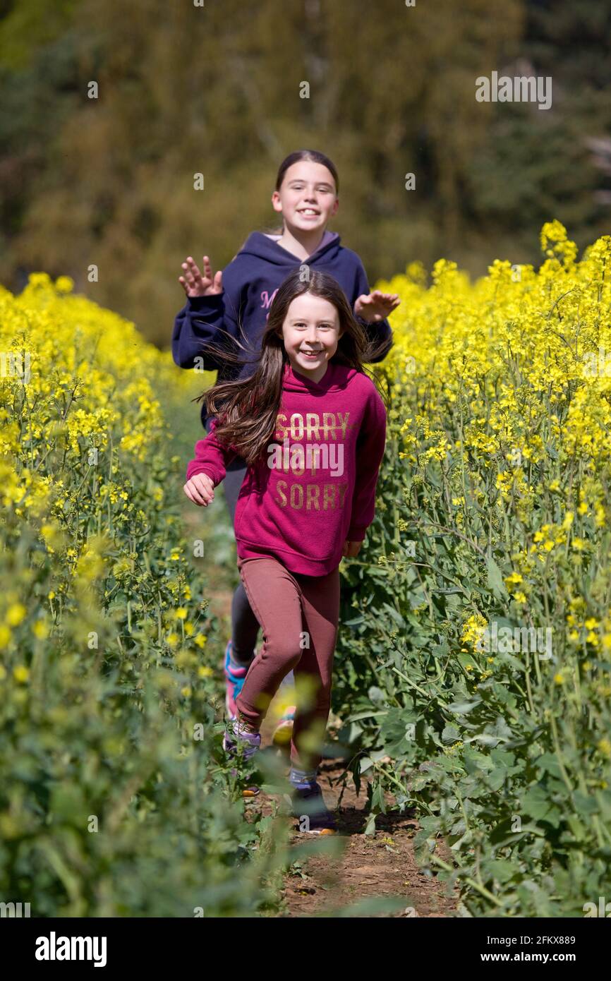 young girls running through crop field. uk Stock Photo - Alamy