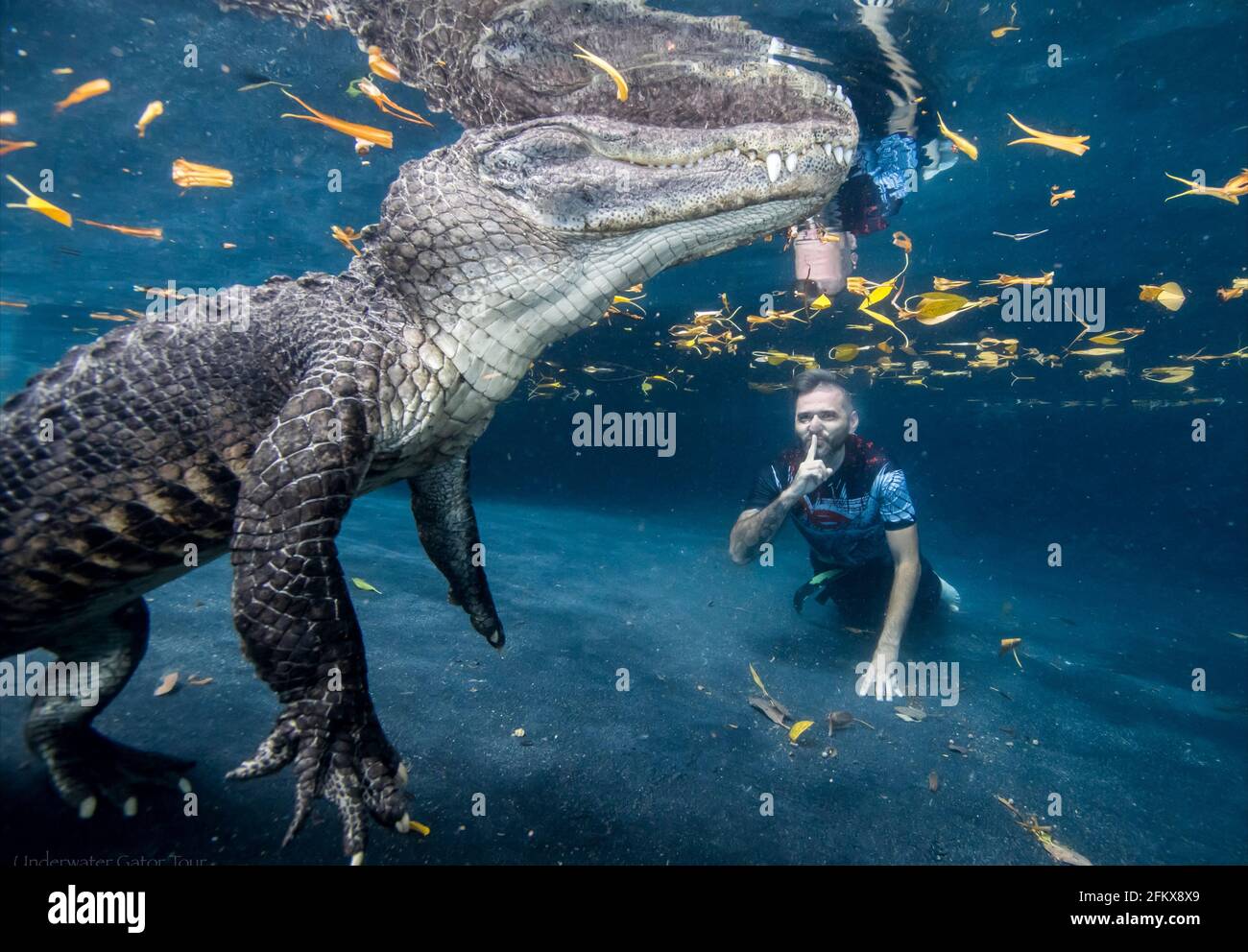 FLORIDA, USA: Tomasz has overcome his aquaphobia by swimming with ...