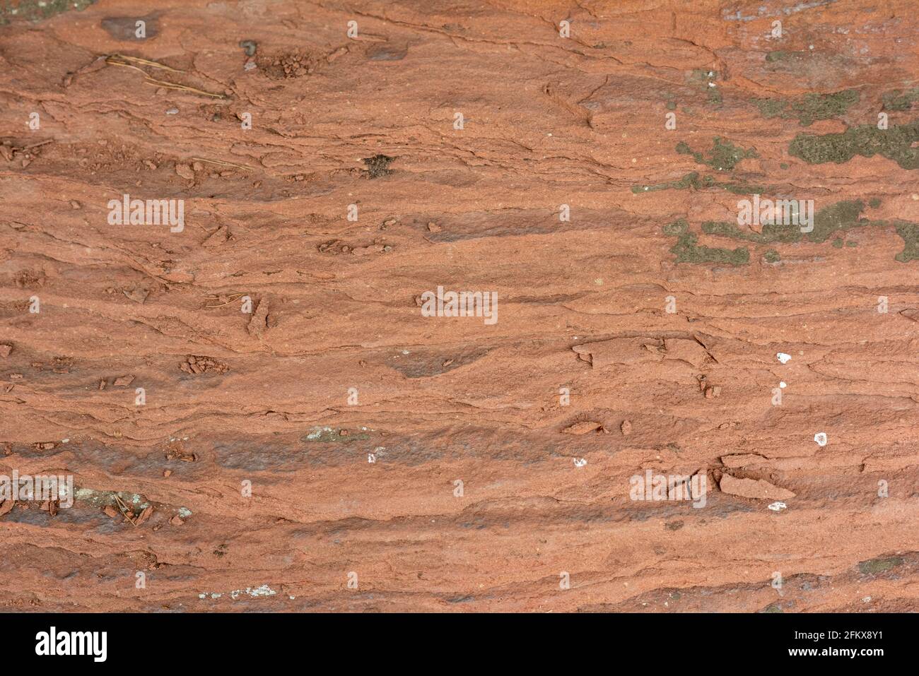 Uniform surface of weathered red sandstone rocks as a background Stock ...