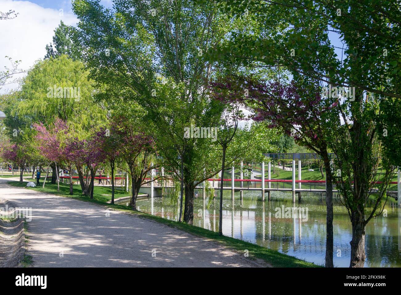 Madrid park with a pond with water and surrounding plants and flowers ...