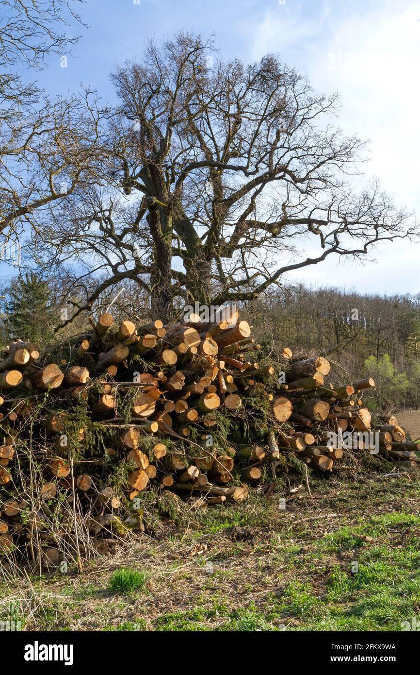 An land lagerung hi-res stock photography and images - Alamy