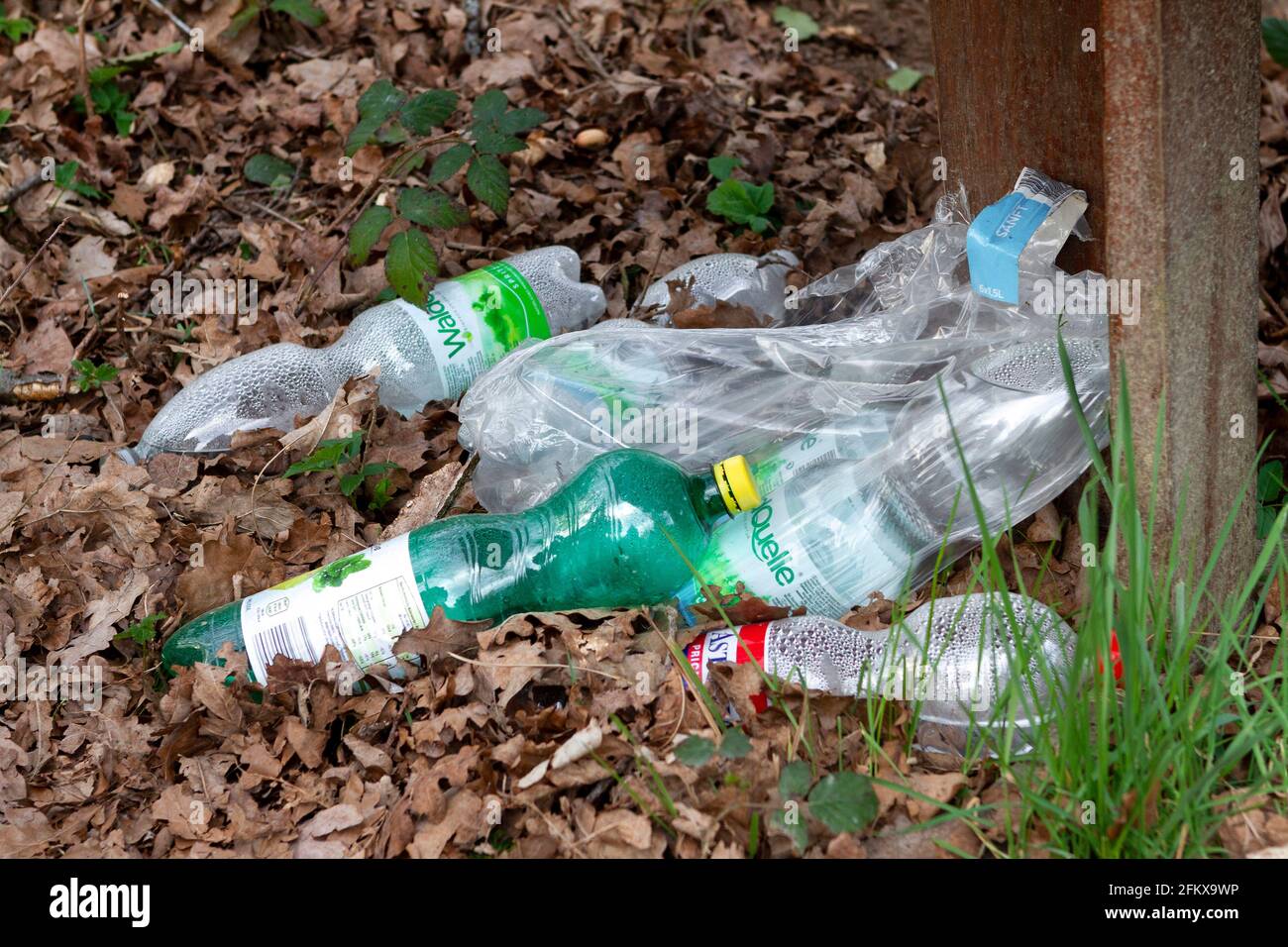 In Nature Disposed Plastic Water Bottles Stock Photo - Alamy