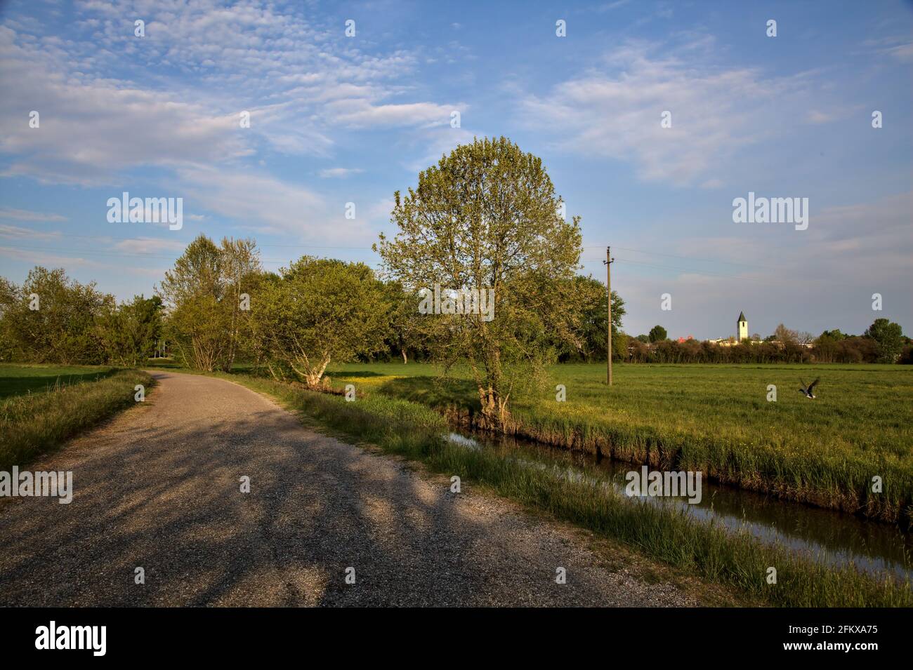 Road in the countryside at sunset bordered by a stream of water Stock ...