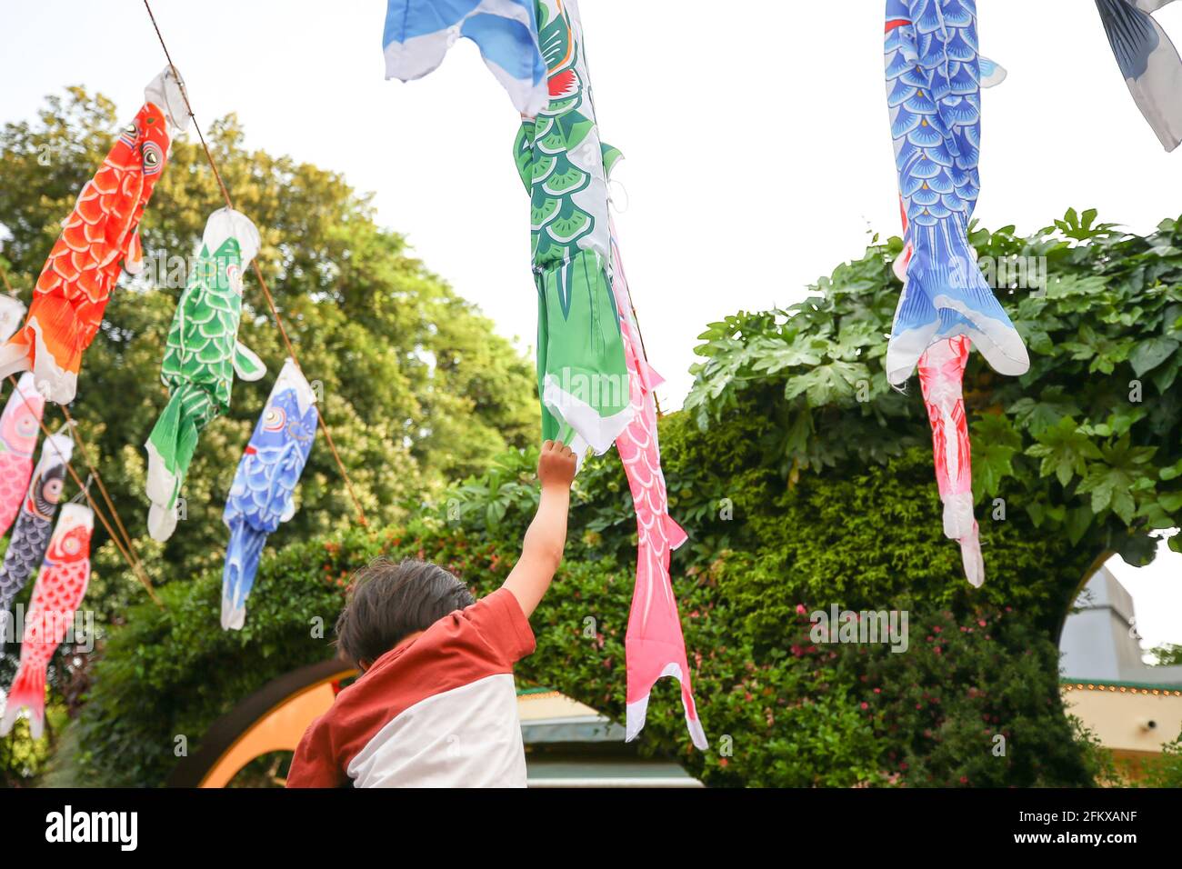 Carp In A Boat High Resolution Stock Photography and Images - Alamy