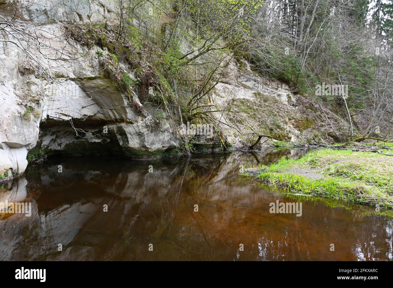 Rock outcrop with a cave in the forest, which is reflected in the ...