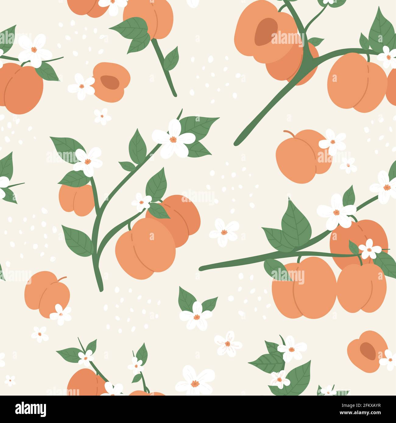 Peach or apricot fruit seamless pattern design set, summer peachy ...