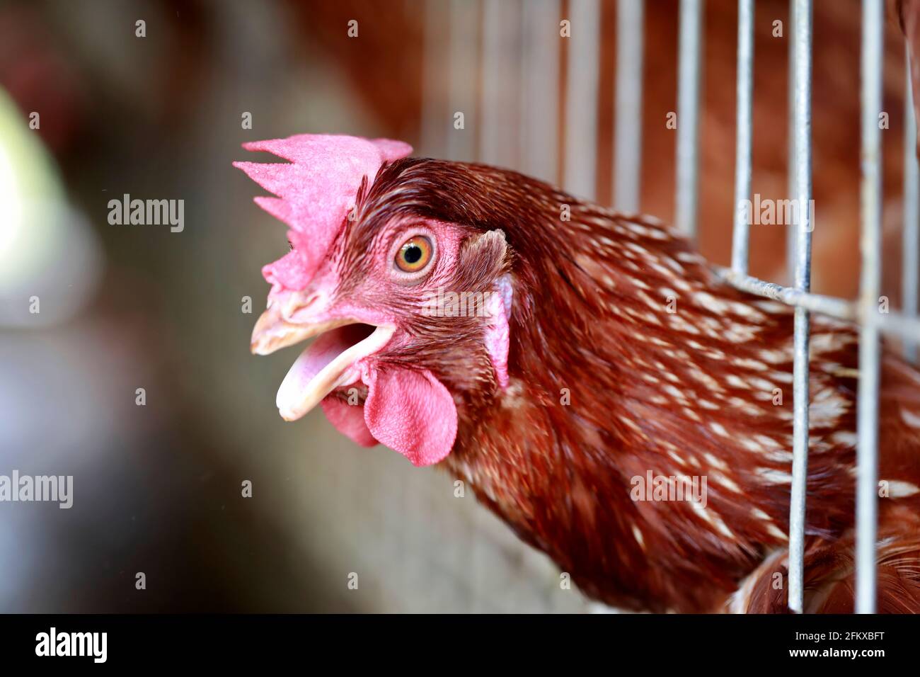 Mithamoin haor hi-res stock photography and images - Alamy