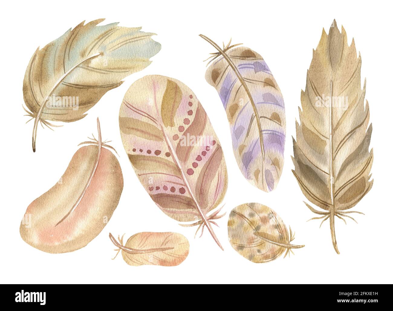 Set of beautiful fabulous fluffy feathers hand-drawn in watercolor ...