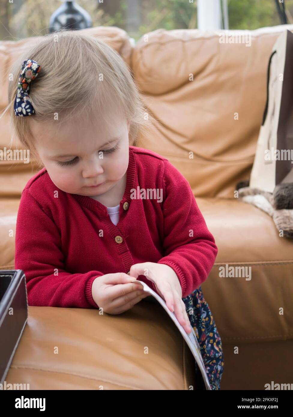 learning-to-read-stock-photo-alamy