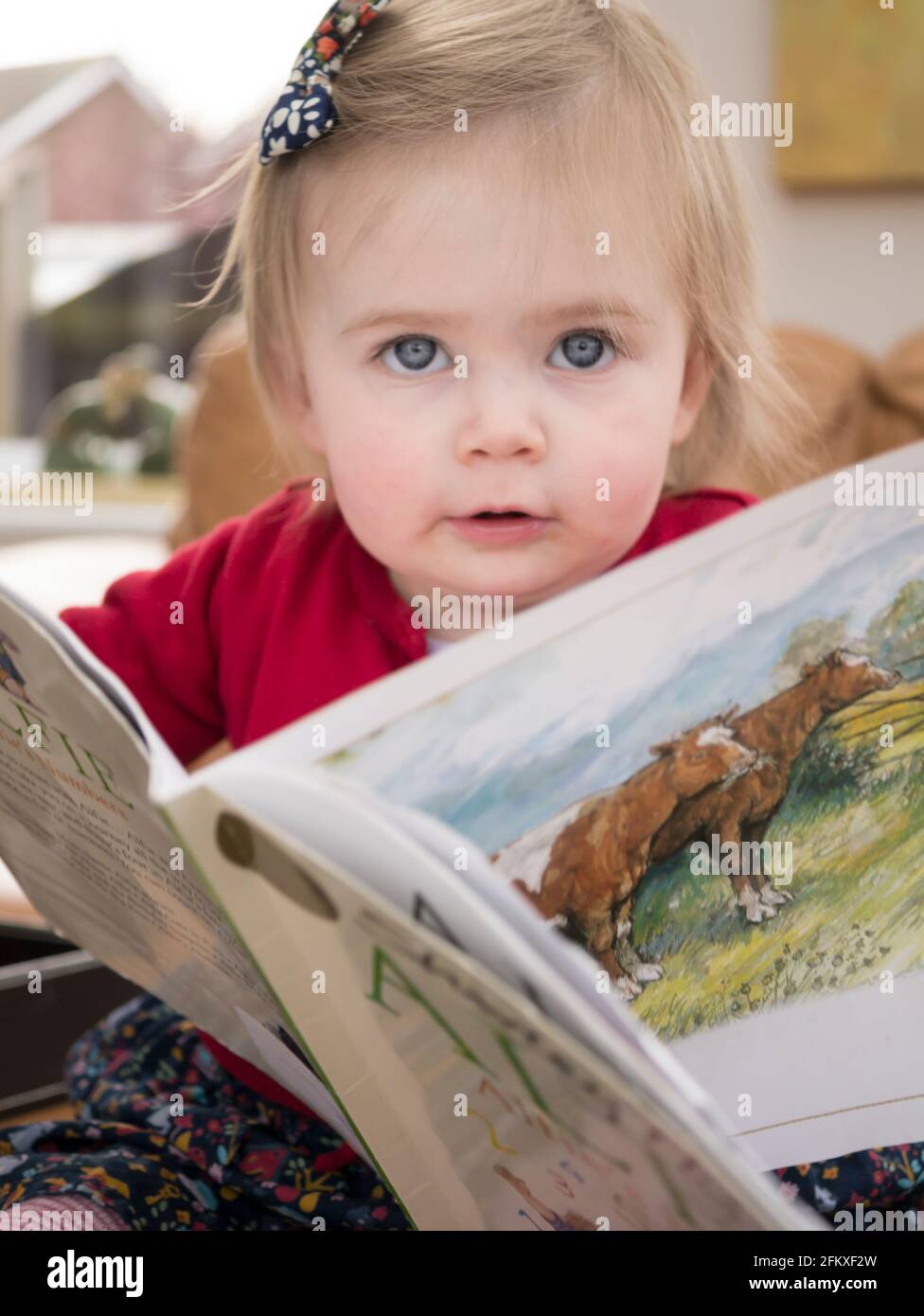 Learning to read Stock Photo - Alamy