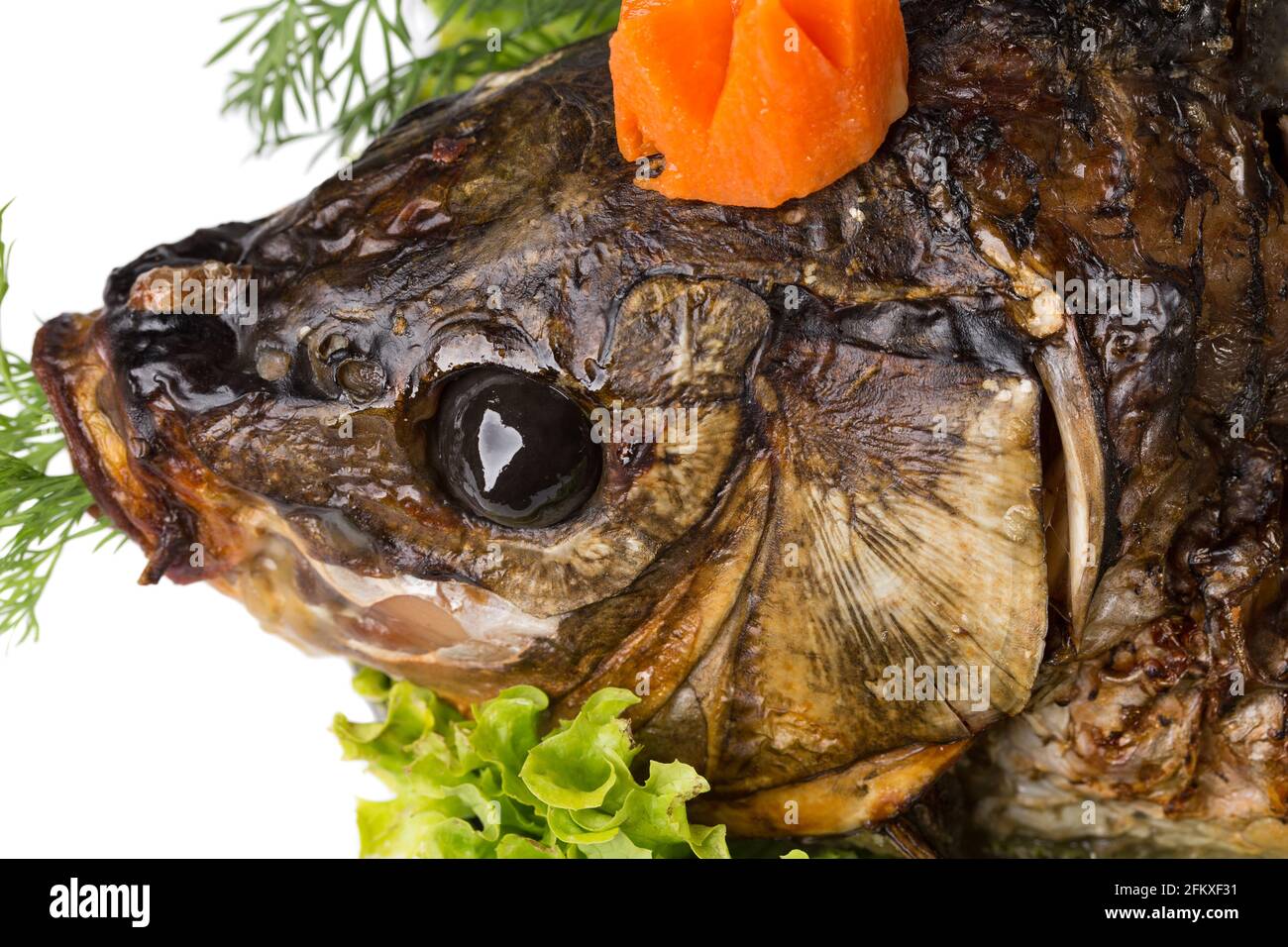 Sturgeon head hi-res stock photography and images - Alamy