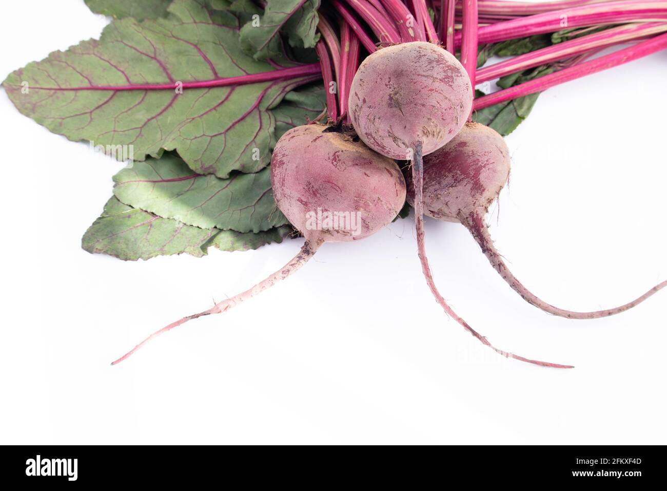 Beetroot Desi Chukandar With Green Leaves Is Consumed As Salad Or Juice ...