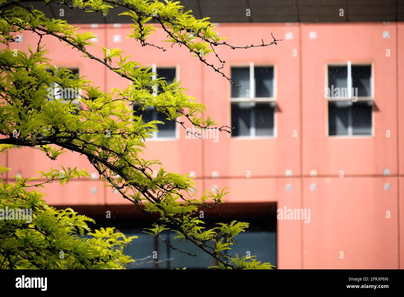 University of milan bicocca hi-res stock photography and images - Alamy