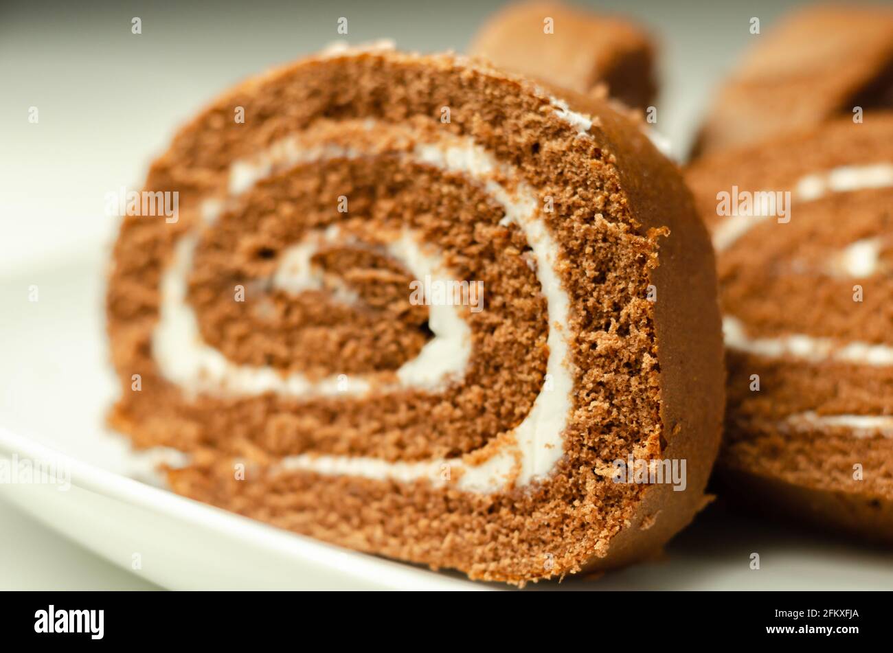 Chocolate sponge roll with a vanilla flavour filling, chocolate swiss ...