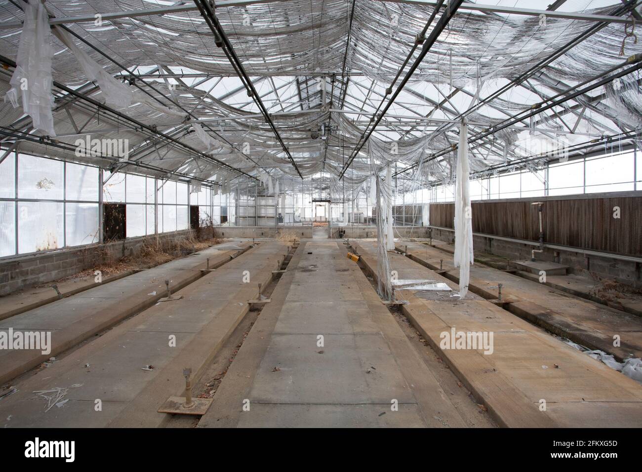 Wood laboratory hi-res stock photography and images - Alamy