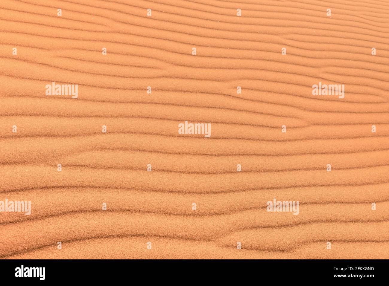 Sand desert background with wind ripple - Concept of purity and ...