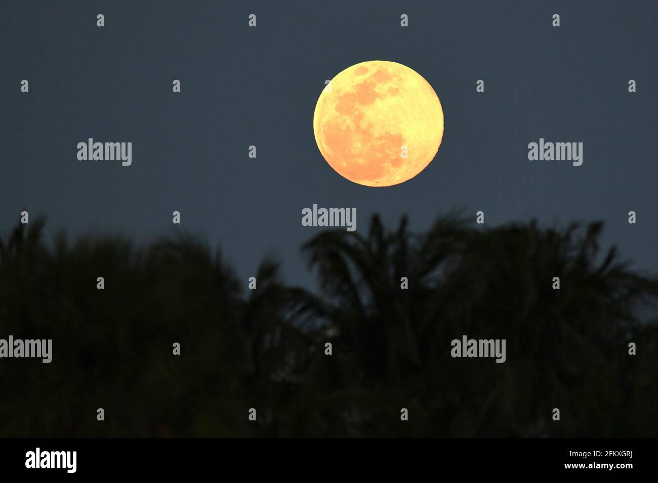 Miami - FL - 20200407 The full pink moon is seen over Deerfield Beach ...