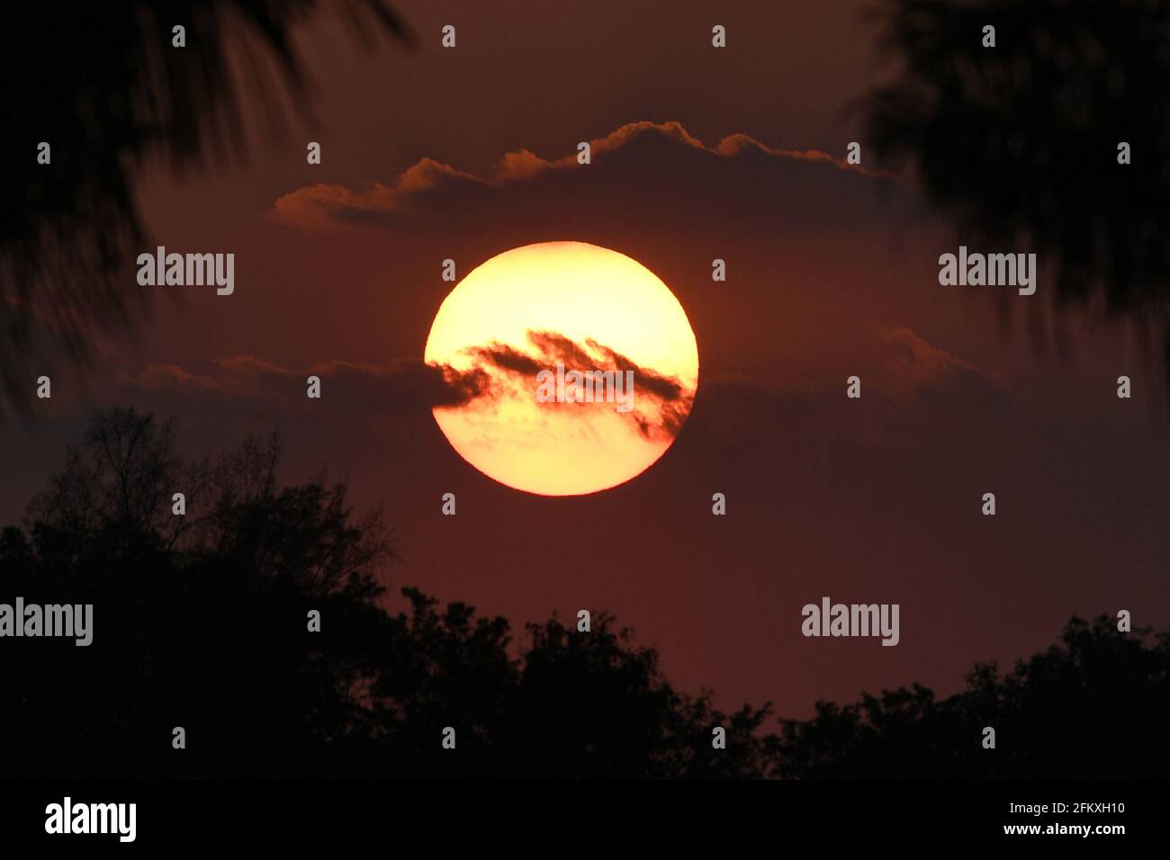 Miami - FL - 20200408 The full moon is seen rising over Saint Ambrose ...