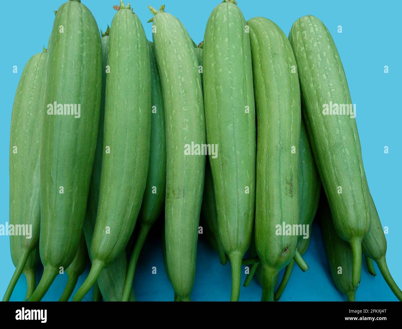 Group sponge gourd fresh vegetable Stock Photo - Alamy