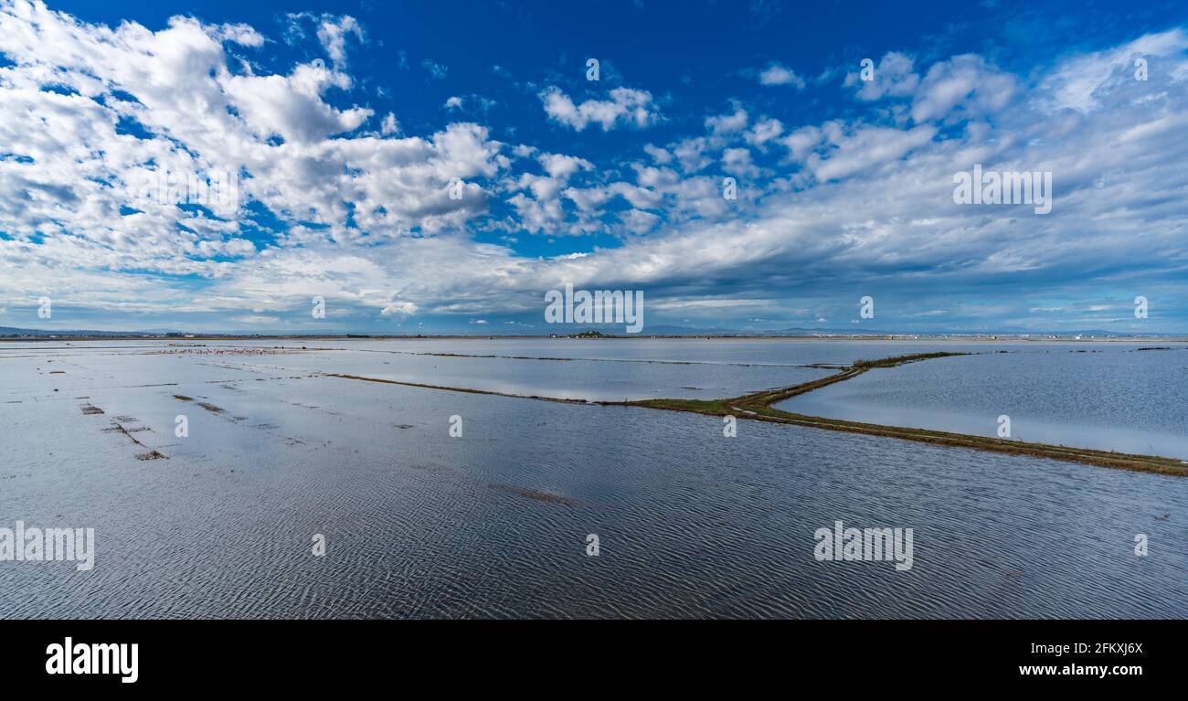 Flooded rice fields in Albufera under cloudy sky Stock Photo - Alamy