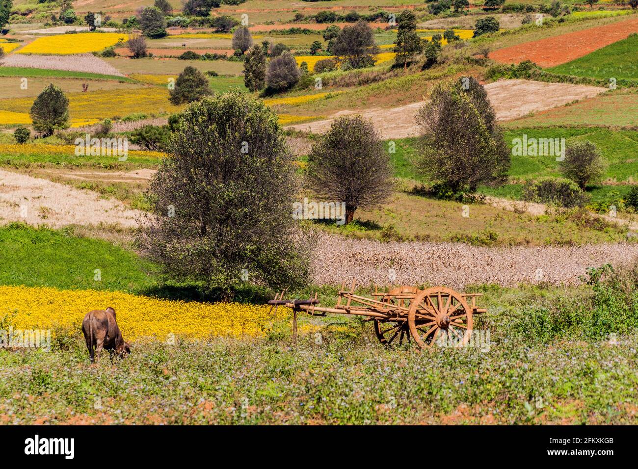 Rural landscape asia hi-res stock photography and images - Alamy