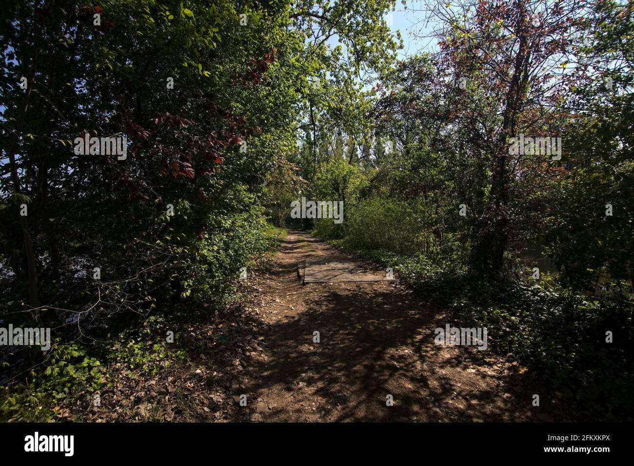 Muddy path in the shade in a park in the italian countryside Stock ...