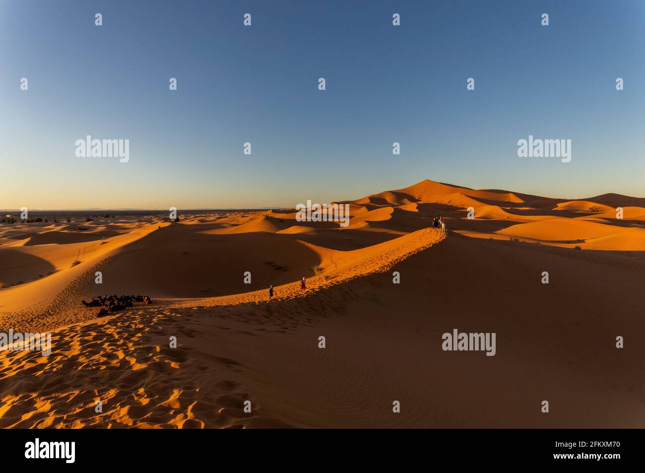 Acolita hi-res stock photography and images - Alamy