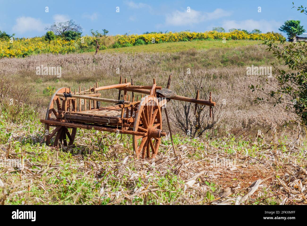 Ancient wooden cart hi-res stock photography and images - Alamy