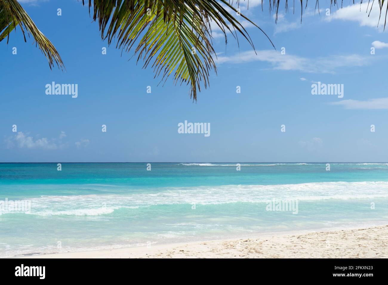 Panoramic view of a tropical beach Stock Photo - Alamy