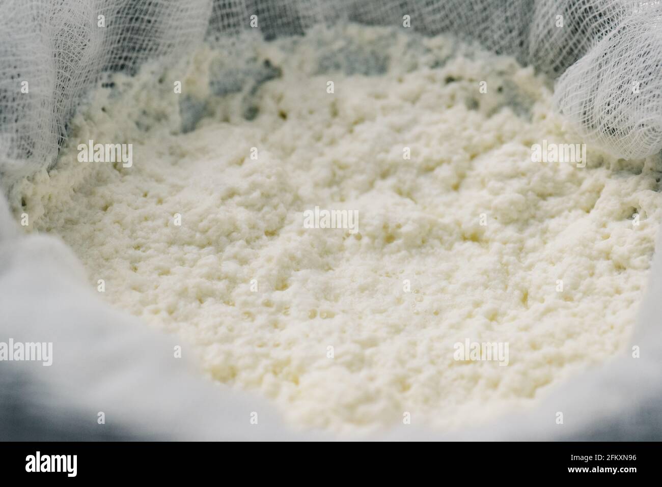 Straining homemade ricotta cheese with cheese cloth Stock Photo - Alamy
