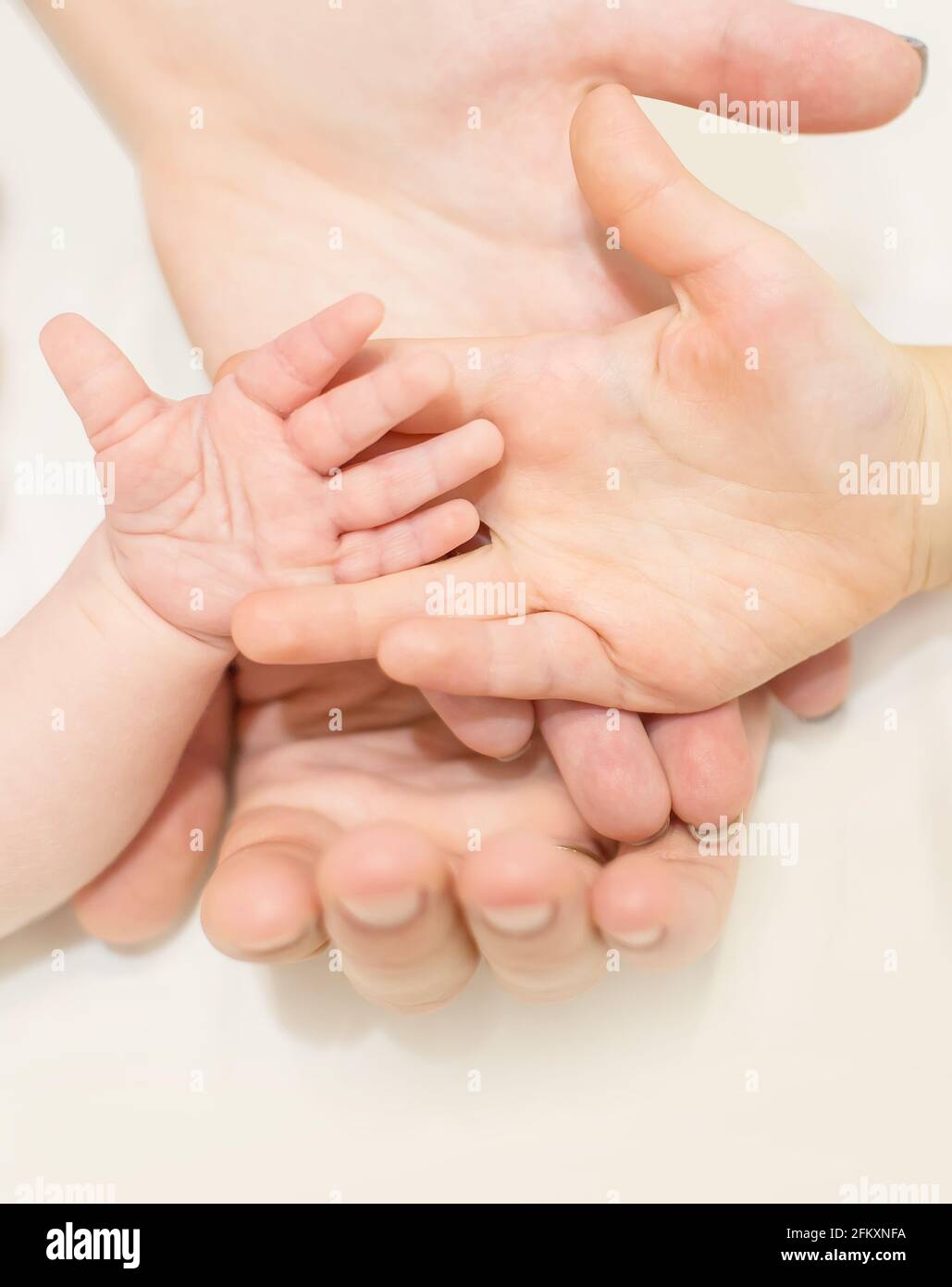 Four family hand palms at white isolated background, parents and kids ...