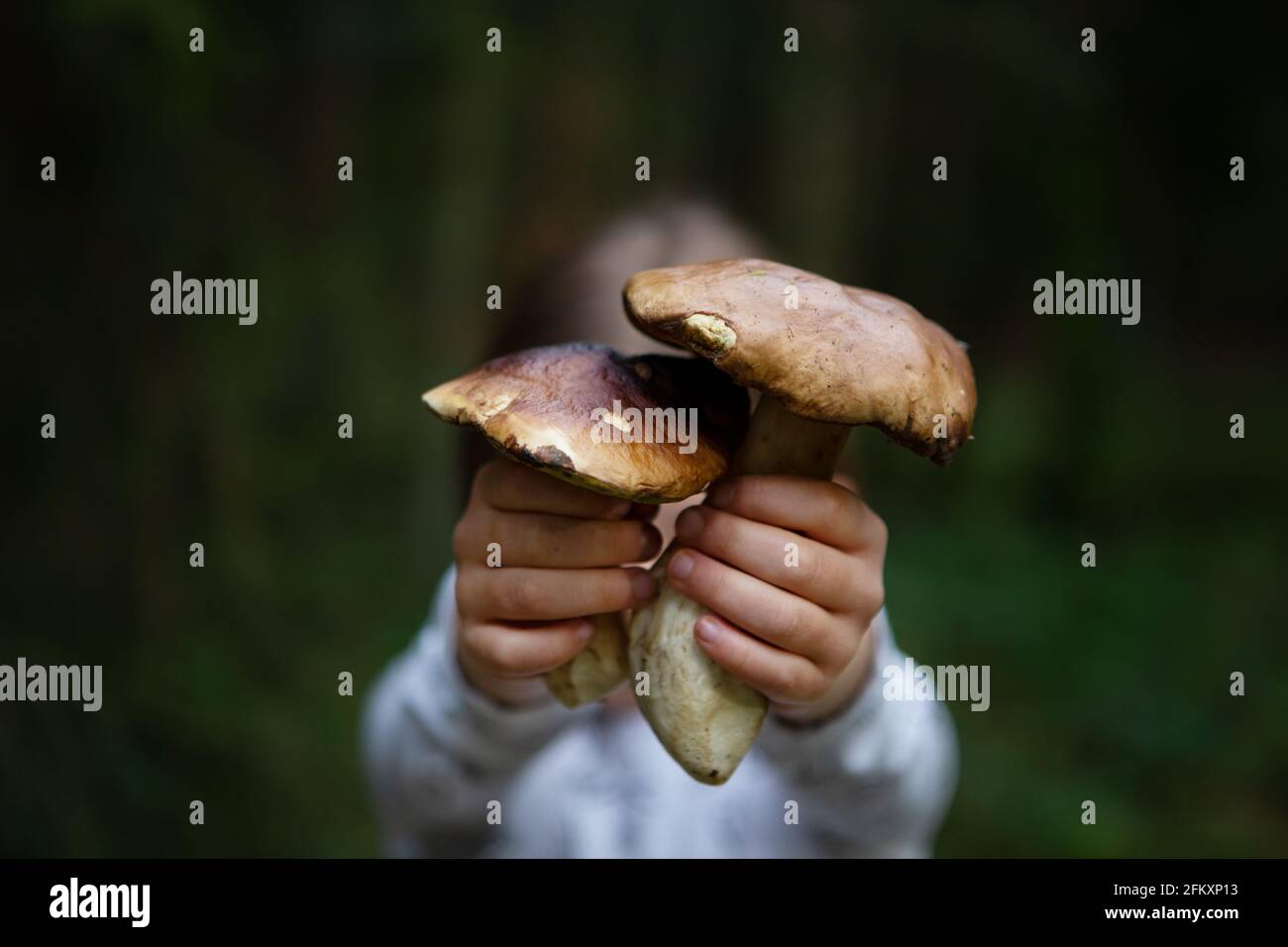 Preteen girl holding in hi-res stock photography and images - Alamy