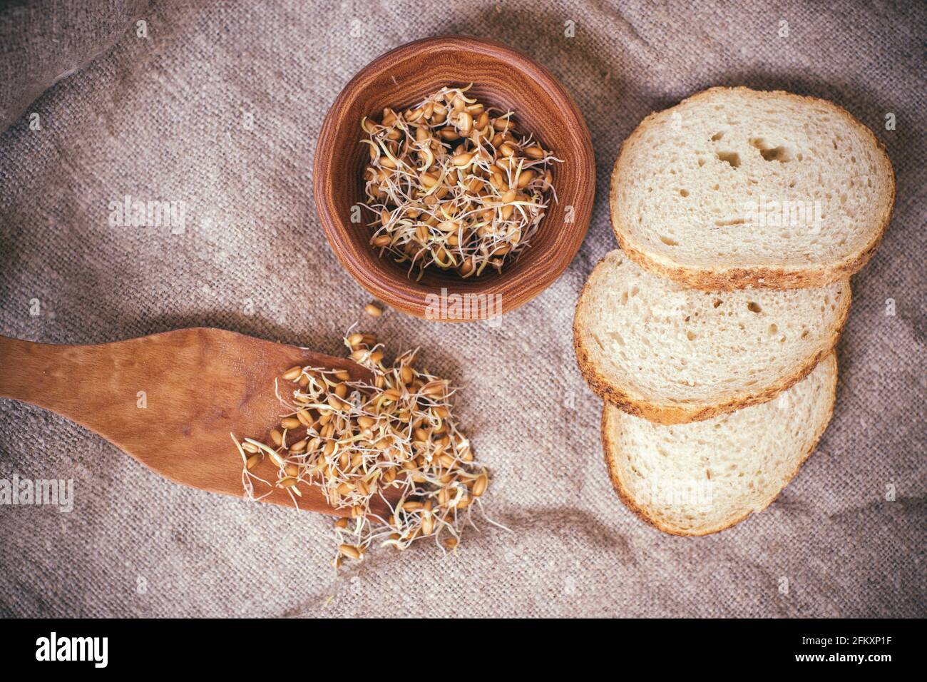 making artisan bread from grains Stock Photo - Alamy