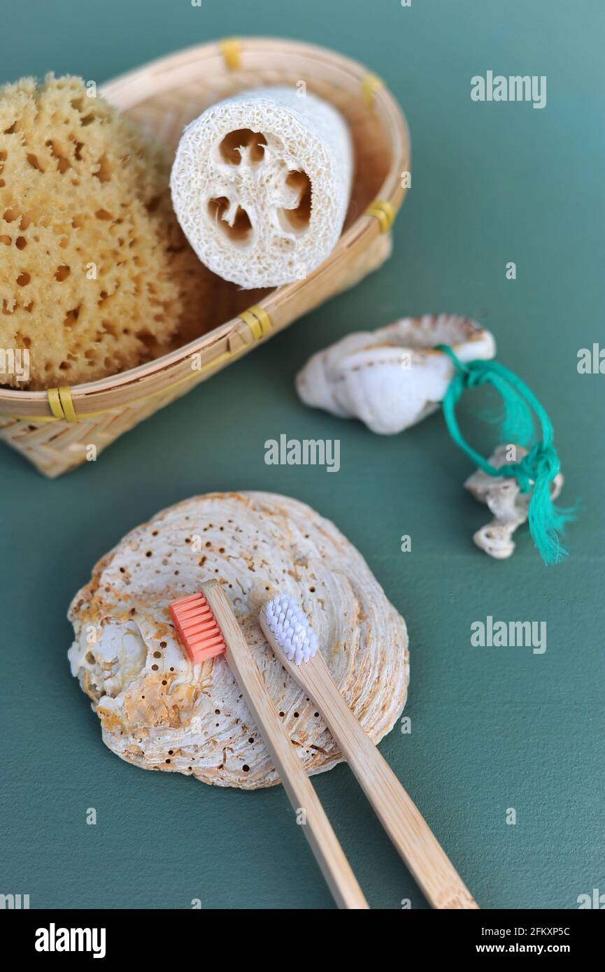 ecofriendly toothbrushes made of wood Stock Photo - Alamy