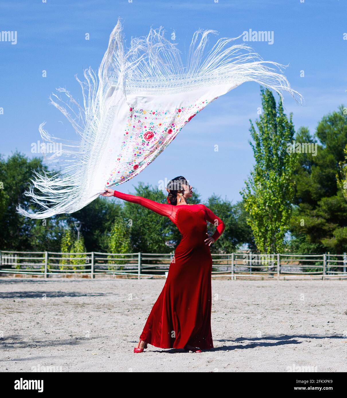Flamenco Dancer with a manton de manila Stock Photo - Alamy
