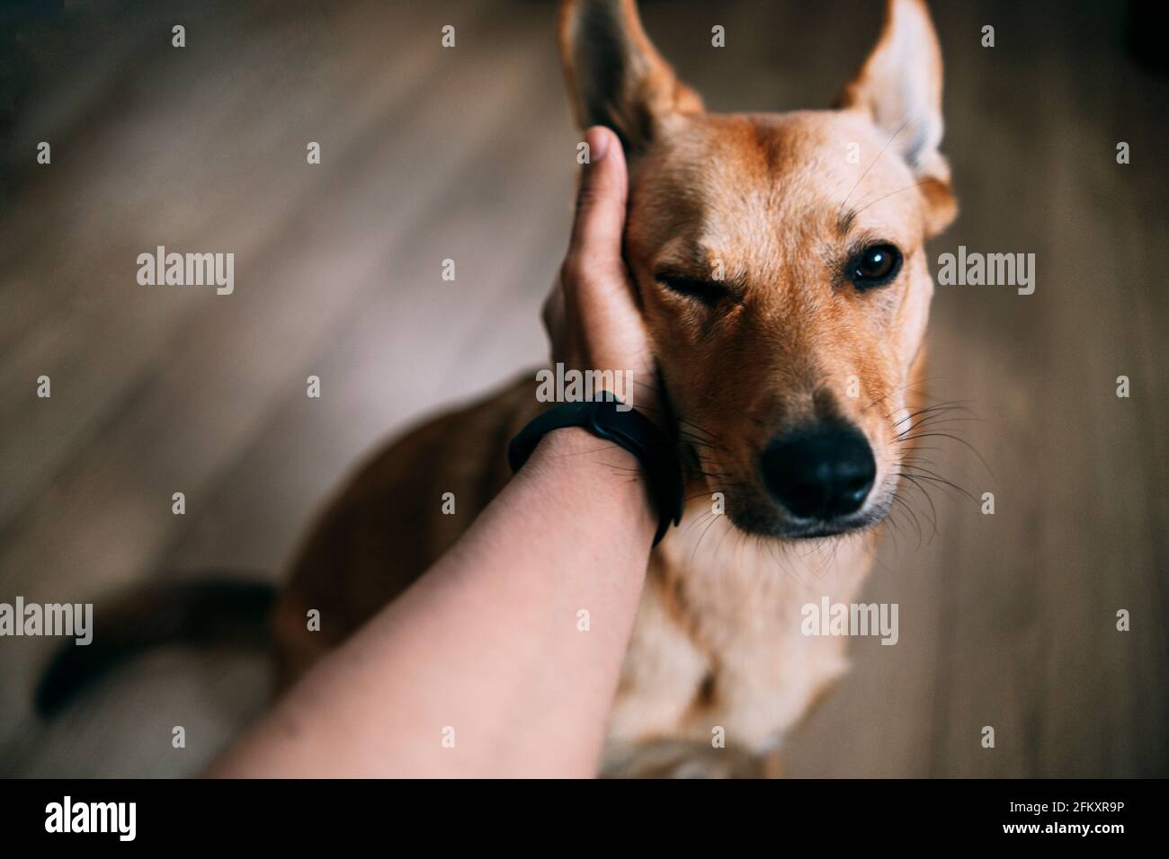 Hand scratching ear hi-res stock photography and images - Alamy