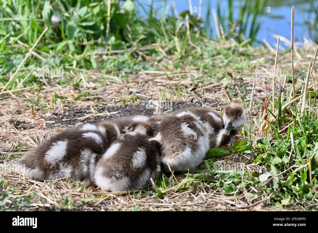 04th may 2021 High Resolution Stock Photography and Images - Alamy
