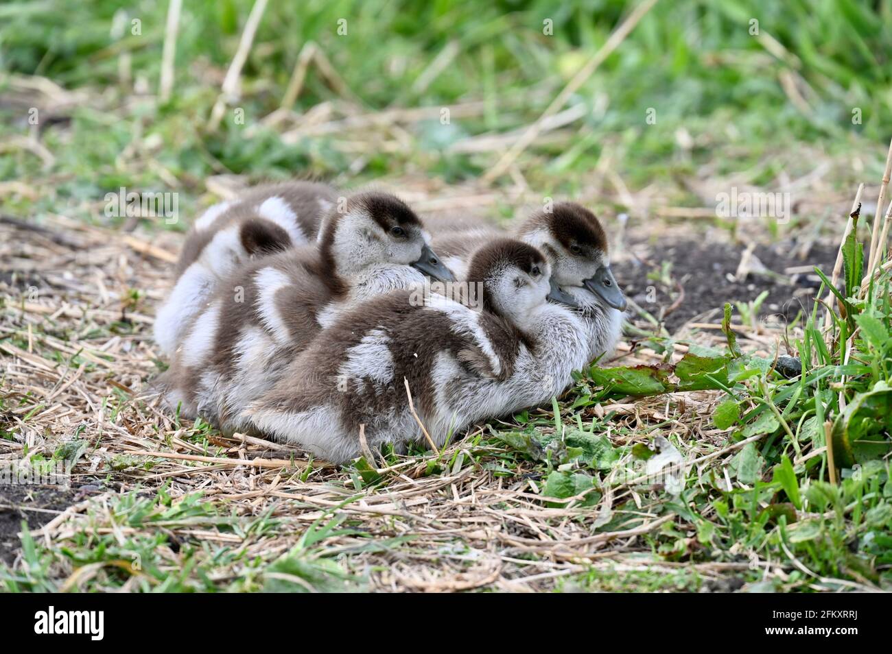 04th may 2021 hi-res stock photography and images - Alamy
