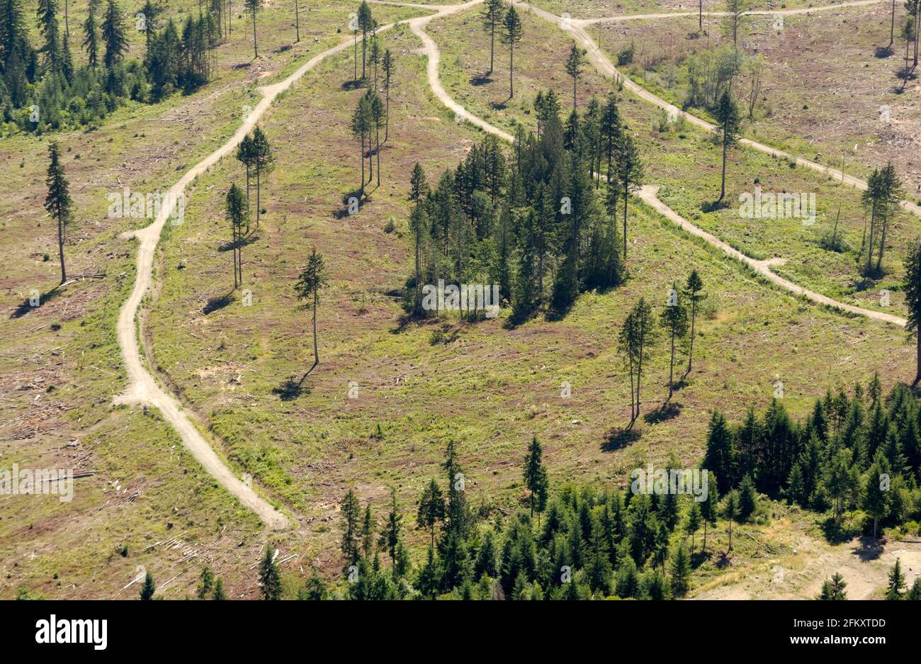Aerial photo of clear cut logging, Vancouver Island, British Columbia ...