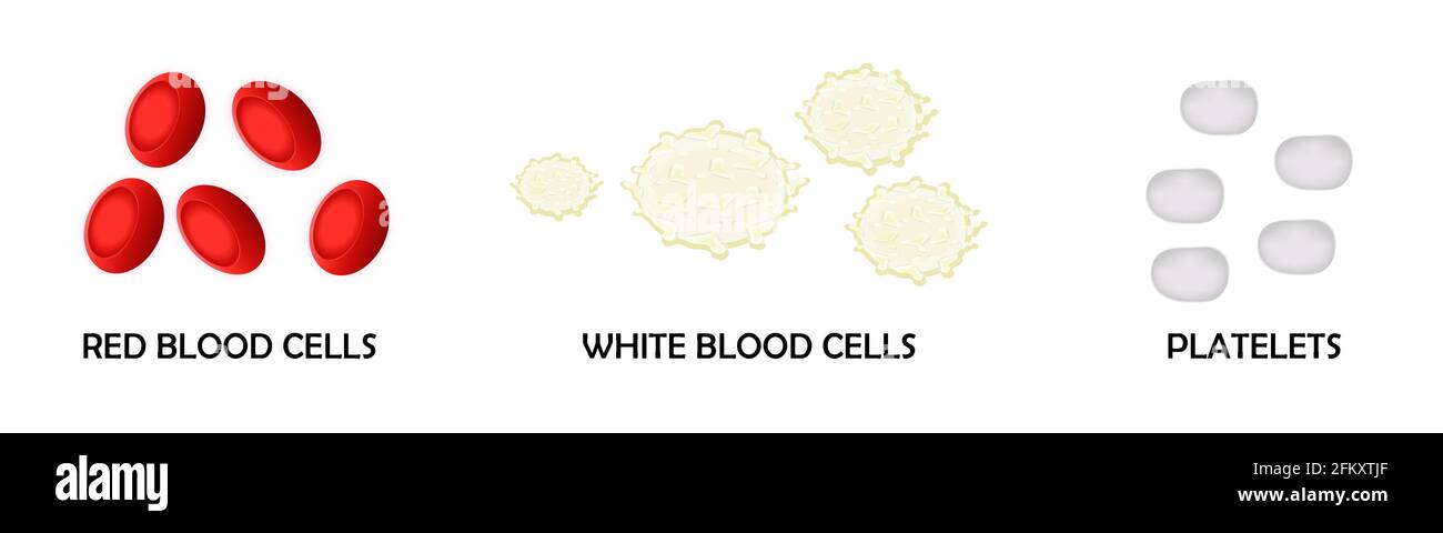 Blood platelets hi-res stock photography and images - Alamy