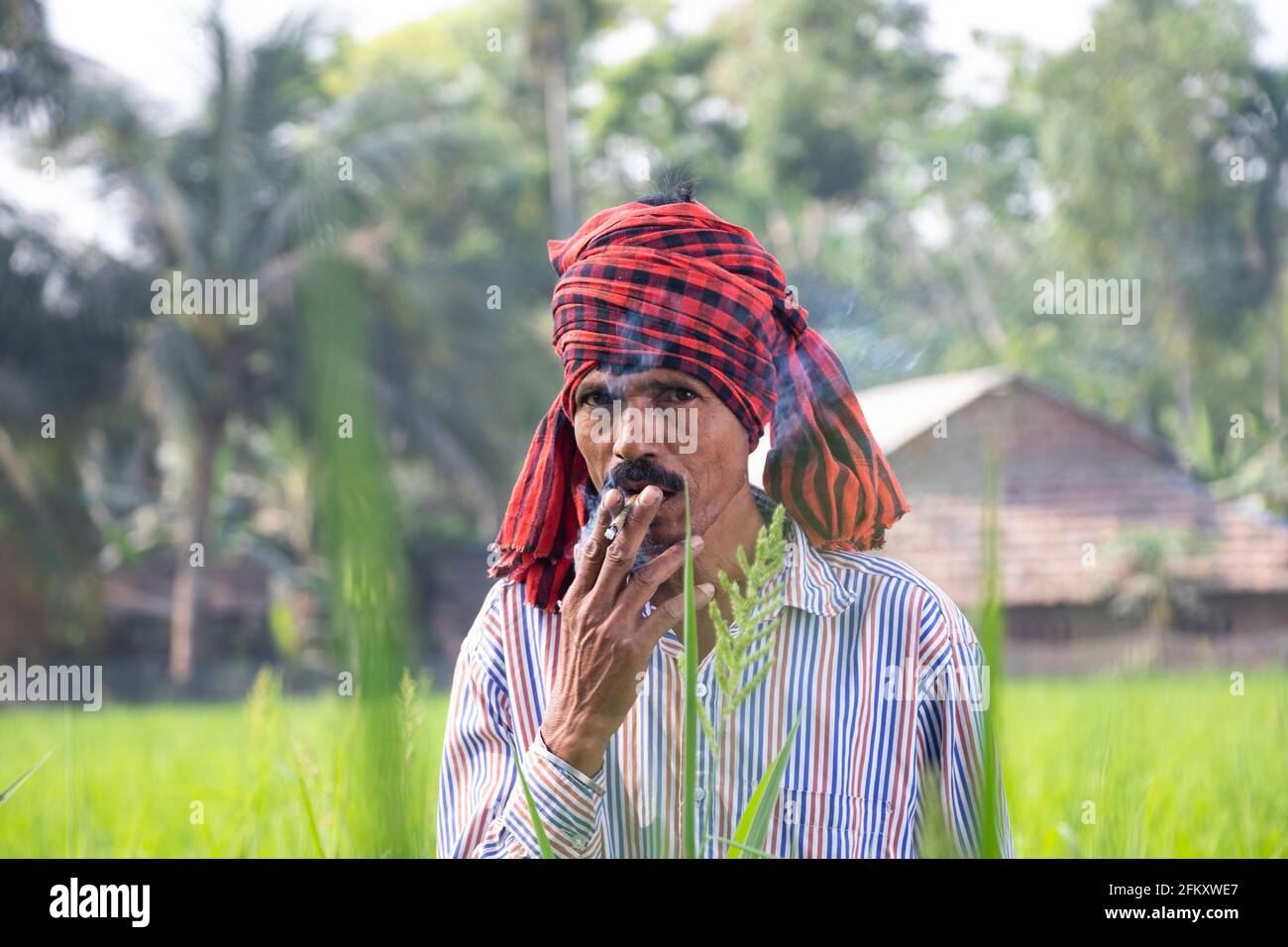 Indian Rural farmer smoking In Rice Field Stock Photo - Alamy