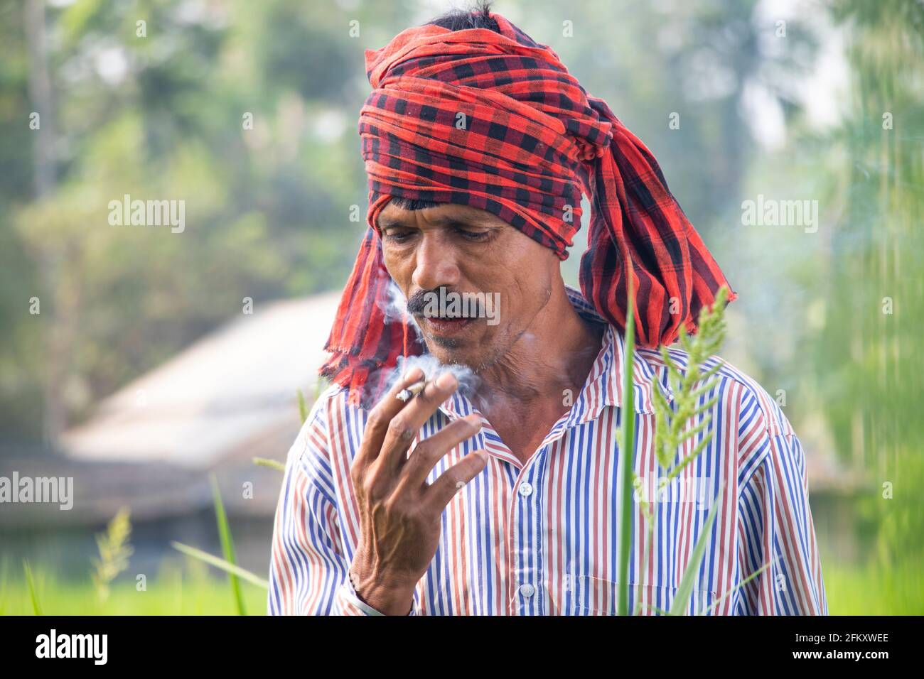 Indian Rural farmer smoking In Rice Field Stock Photo - Alamy
